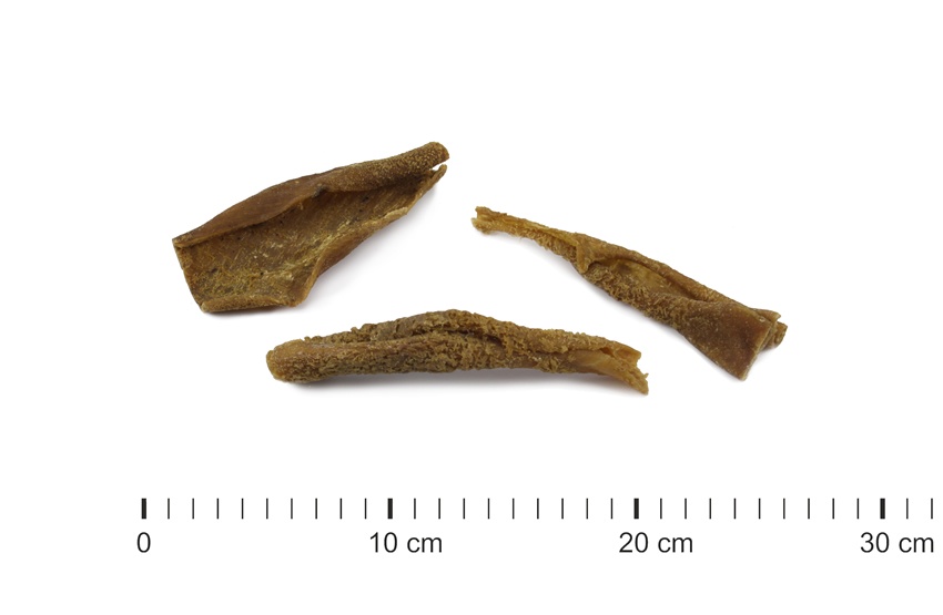 DIERKS TIERNAHRUNG Ganderkesee | Rind / Innereinen